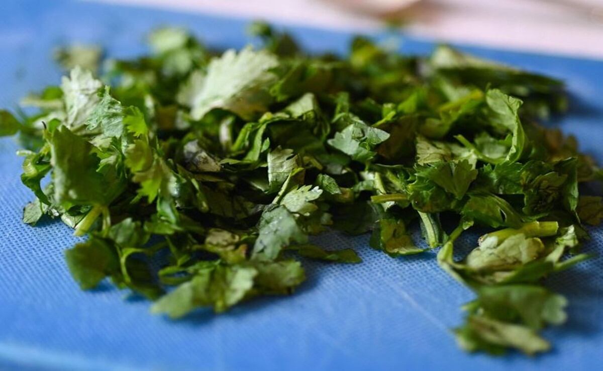 CDMX precio del cilantro cuánto cuesta el manojo 700 pesos vuelve a ...